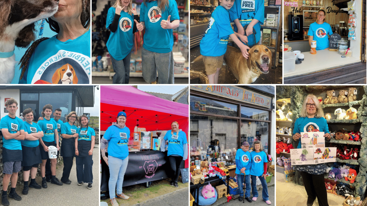Town turned turquoise for World Animal Free Research Day | bude-today.co.uk